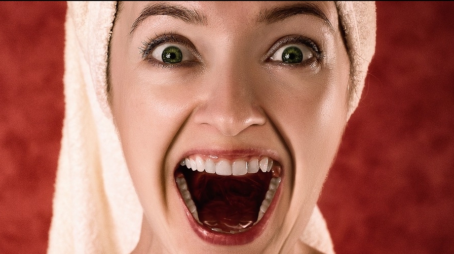 Why do we have so many teeth? | Times Knowledge India