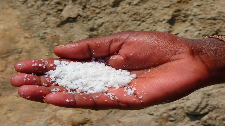 How does salt preserve food? | Times Knowledge India